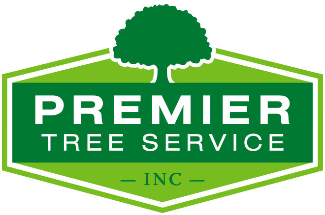 Tree Trimming Bucket Truck Png