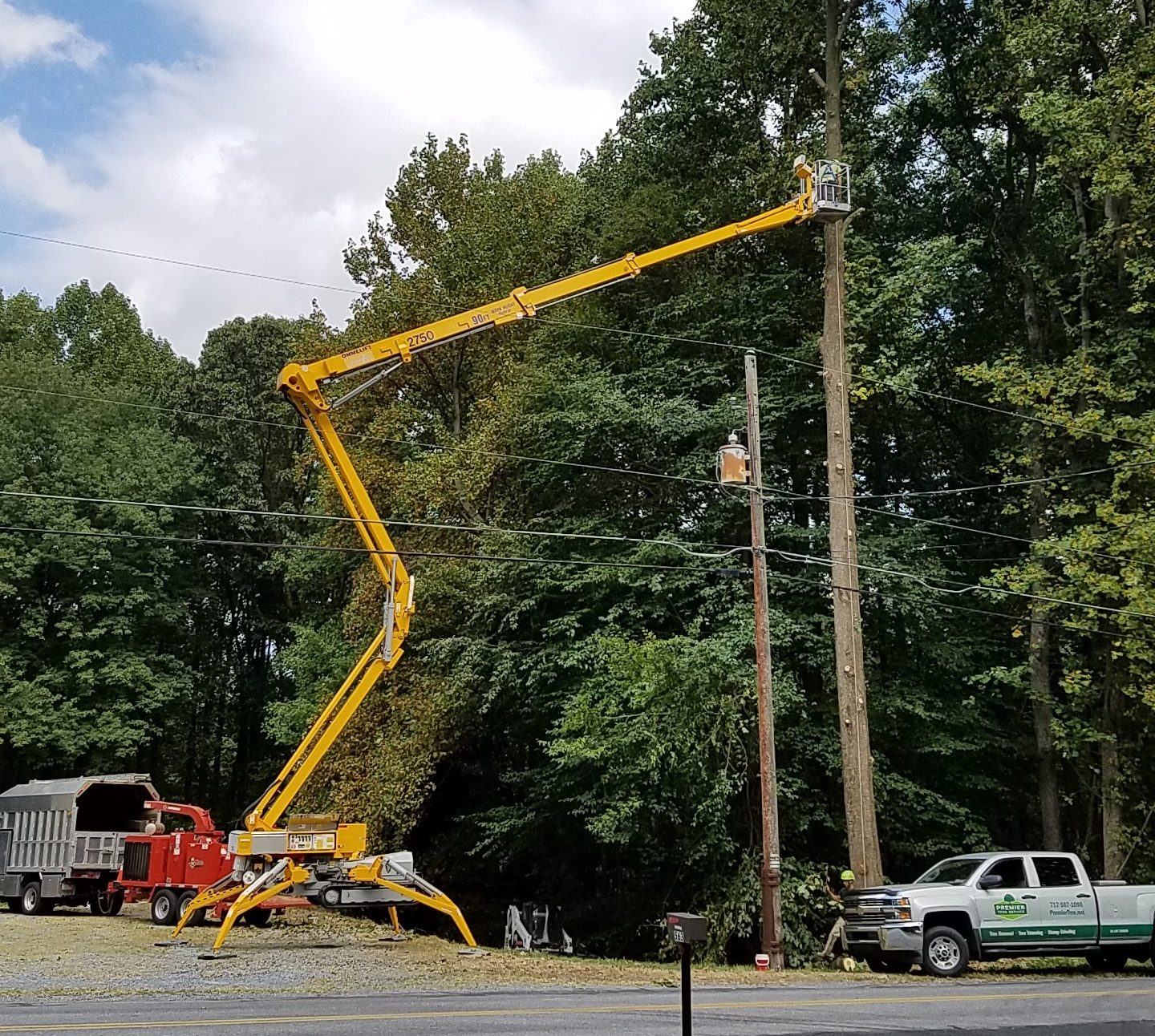 Home - Premier Tree Service