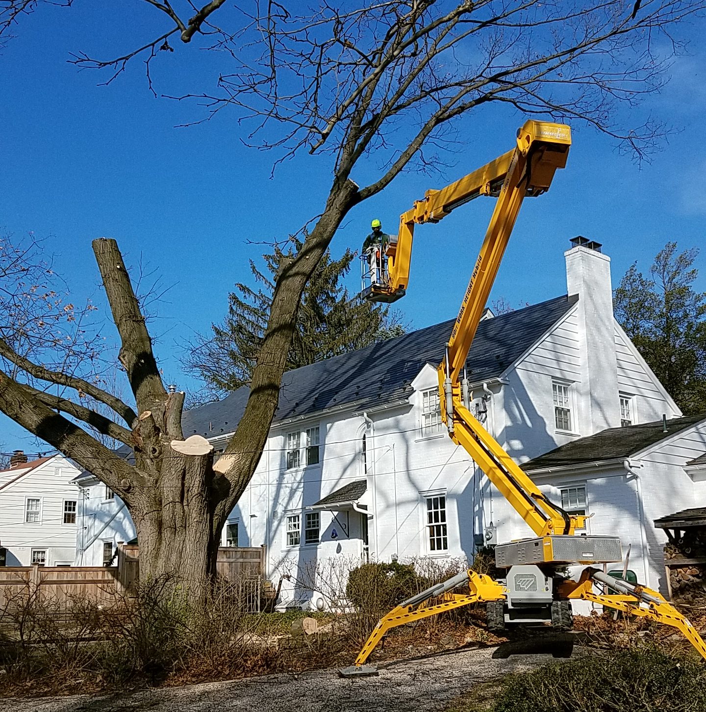 Home - Premier Tree Service